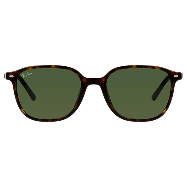 Ray-Ban Leonard 2193 902/31 53 Kahverengi Unisex Güneş Gözlüğü ...